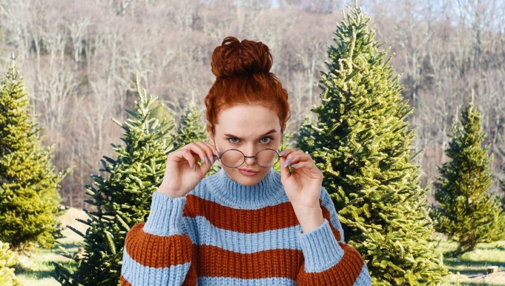 ¿Cuál es el castigo por tirar el árbol de Navidad en la calle? Esto ...